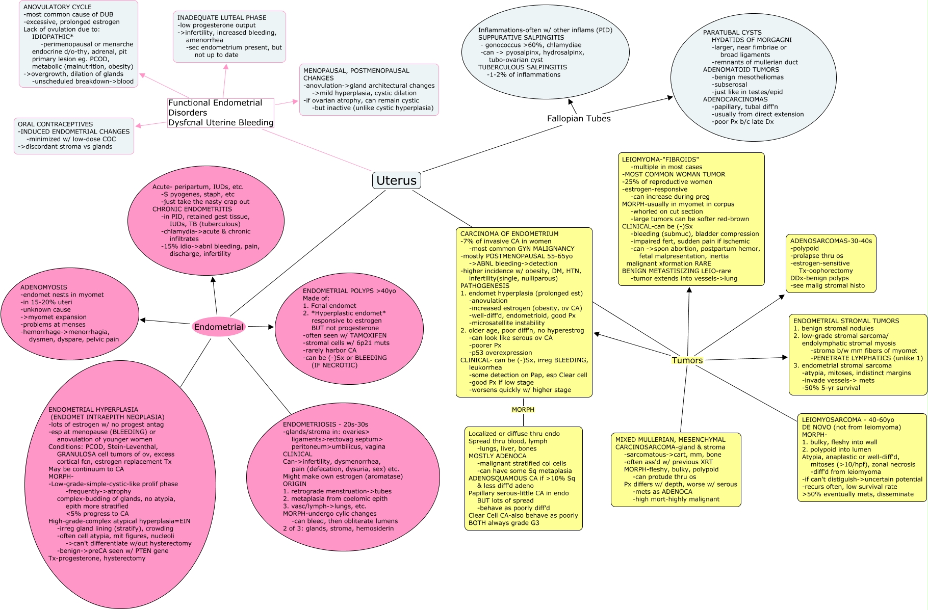 Postpartum Hemorrhage Concept Map
